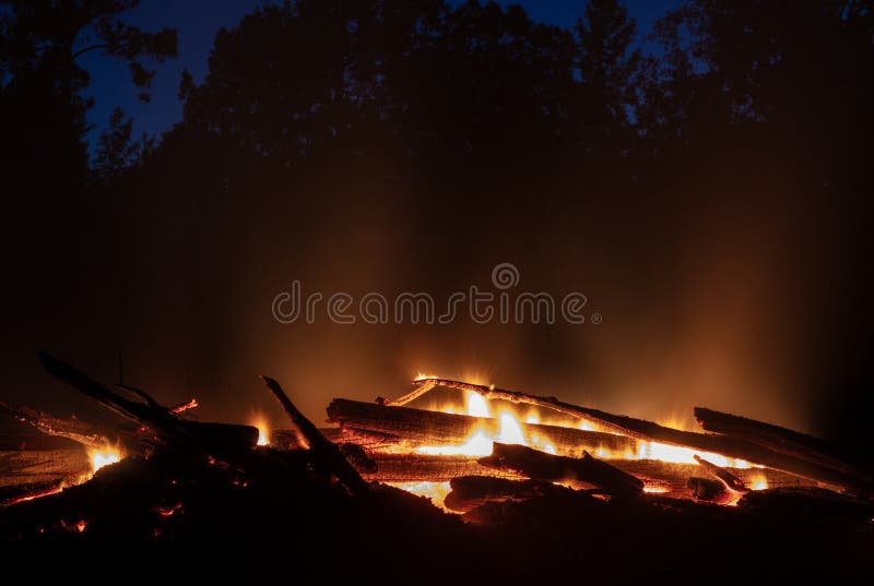 Forest Behind a Large Pile of Logs Burning Stock Photo - Image of grey ...