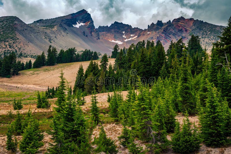 Forest Below Broken Top on the Broken Top Trail, Three Sisters ...