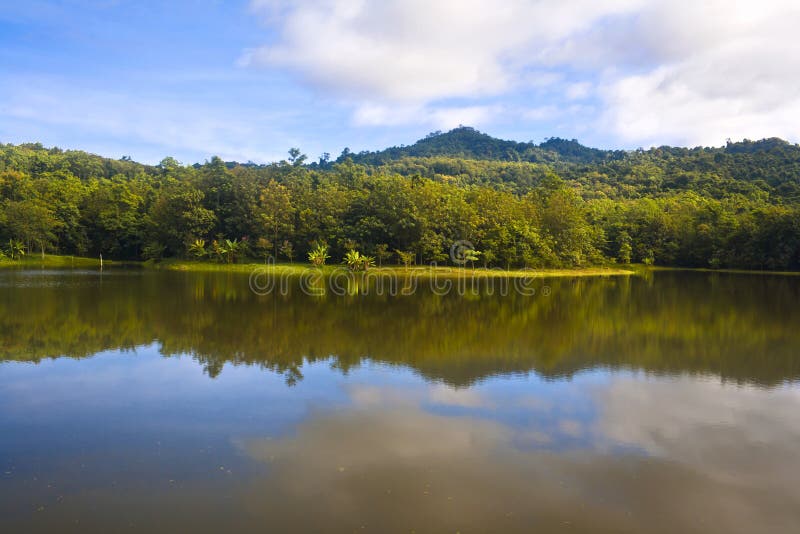 Forest Belt, Forest Line, Deep Blue Sky View, Field, Electric Wires ...