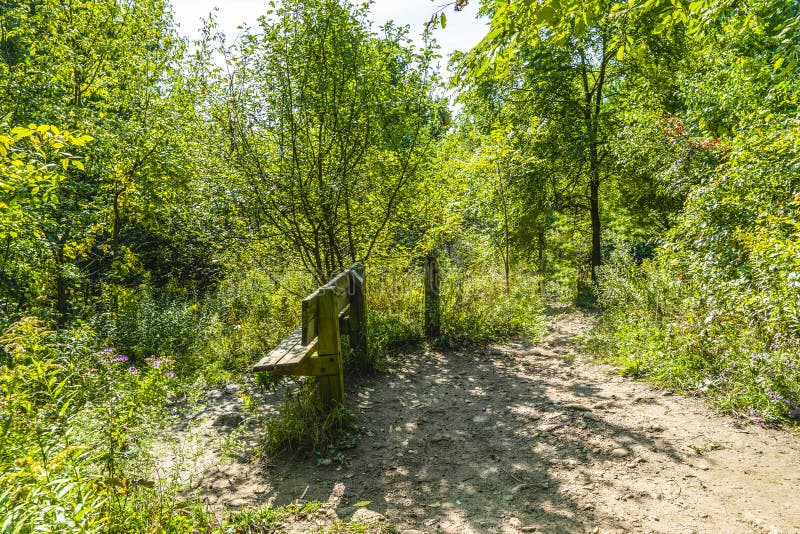 Forest Bench in the Woods Along the Paths Often Found in the Forests of ...
