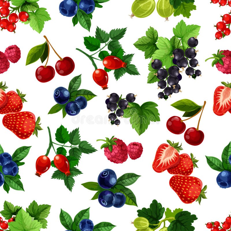 Forest Berries and Fruits Vector Seamless Pattern Stock Vector ...