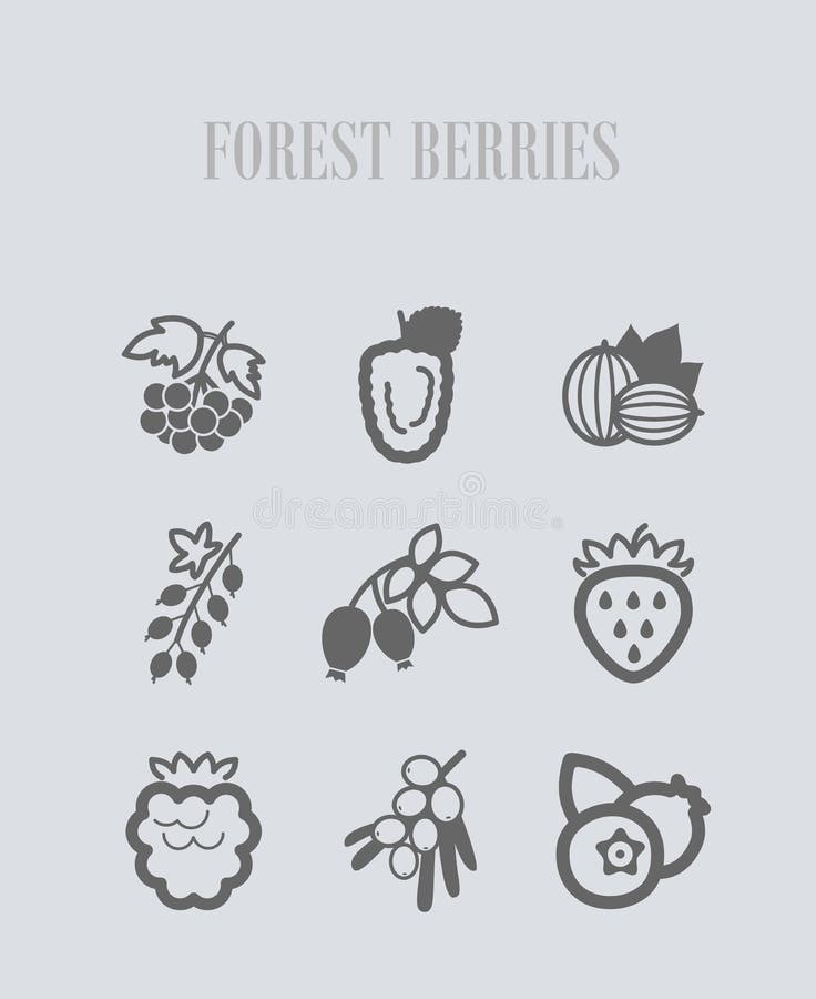 Forest berries icons set stock vector. Illustration of bunch - 146468270