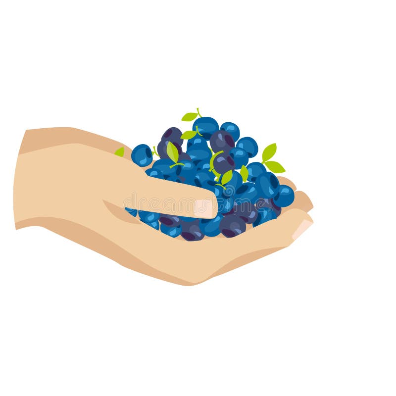 Forest Berry Handful Illustration for Jam Label Stock Vector ...