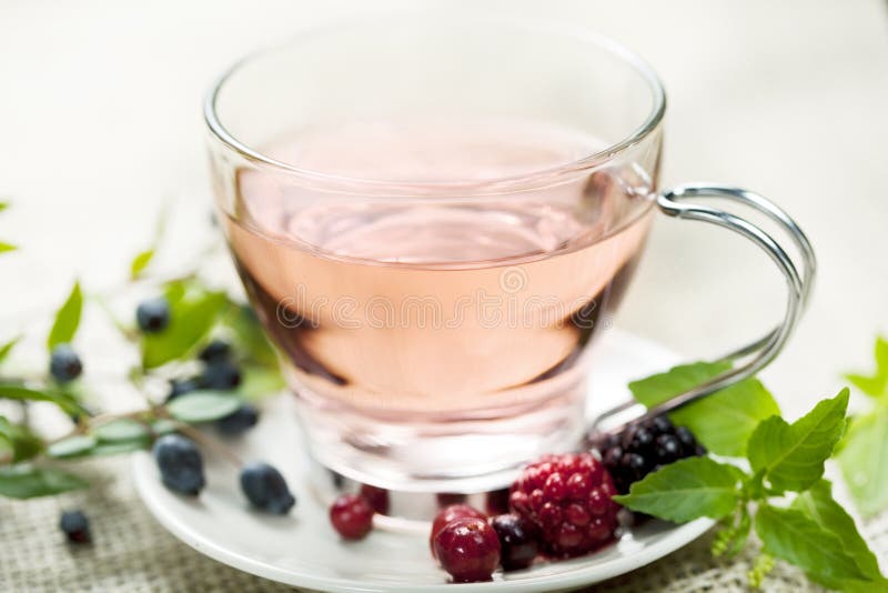 Forest berry tea stock photo. Image of redcurrant, raspberry - 17121344