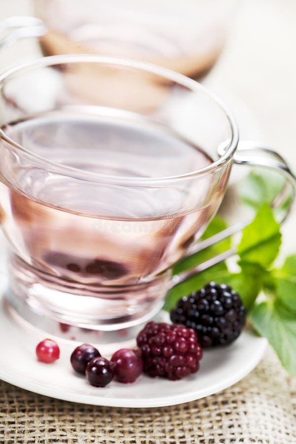 Forest berry tea stock photo. Image of black, natural - 17121362