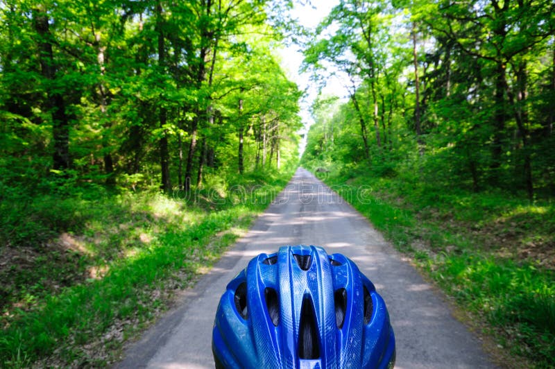 Forest Bike Path stock photo. Image of touring, health - 5196566