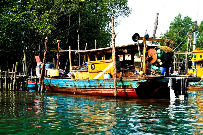 Forest boat stock image. Image of river, forest, mangrove - 10955275