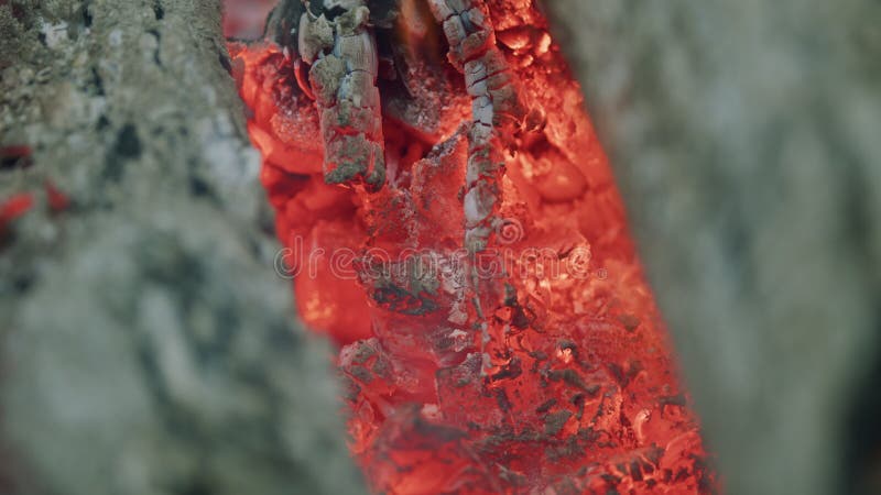 Forest Bonfire. Smoldering and Iridescent Hot Coals in Different Shades ...