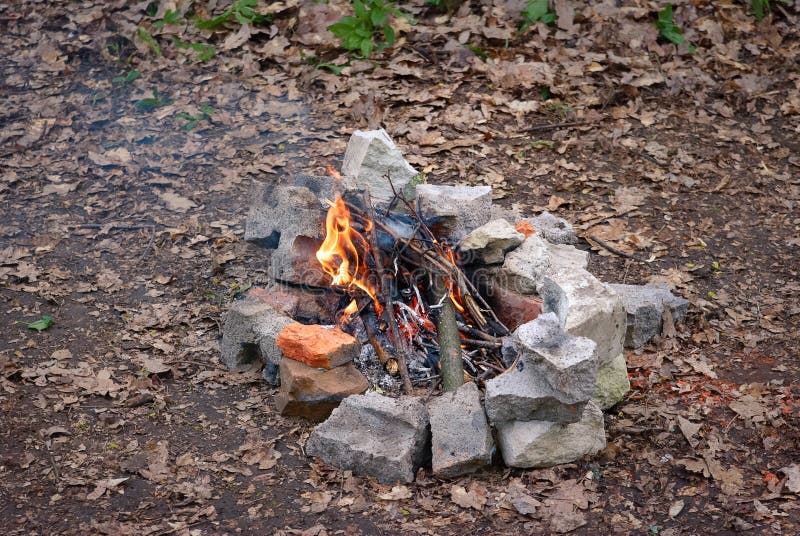 Forest Bonfire Surrounded by Stones Stock Photo - Image of closeup ...