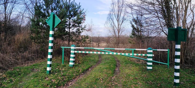 2622.Forest Border in Green Forest Day Stock Image - Image of grass ...