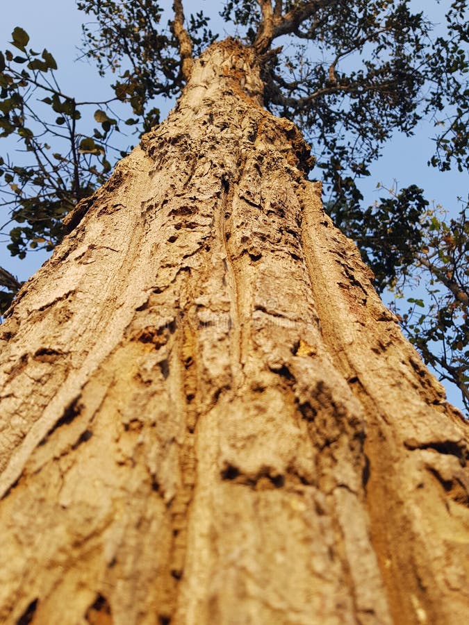 917 Add Images T Stock Photos - Free & Royalty-Free Stock Photos from ...