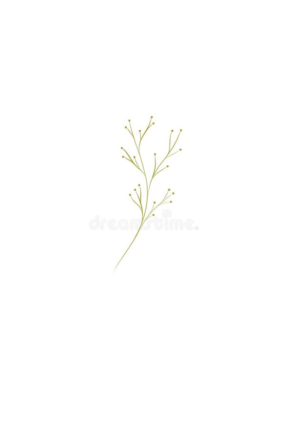 A Forest Branch Beautiful Botanical Flower Logo Art Illustration Stock ...