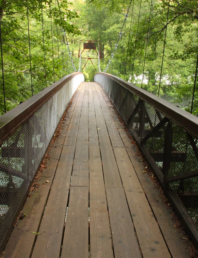 Forest Bridge Picture. Image: 6058995