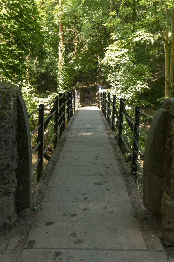 A Forest Bridge stock photo. Image of area, bridge, green - 185382744