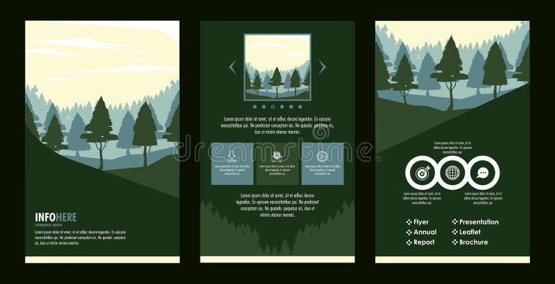 Forest Brochure Infographic Stock Vector - Illustration of booklet ...