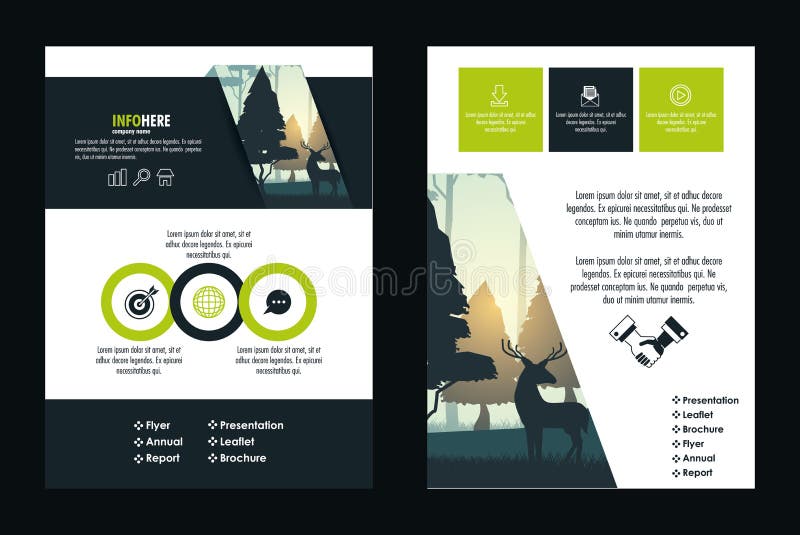 Forest Brochure Infographic Stock Vector - Illustration of brochure ...