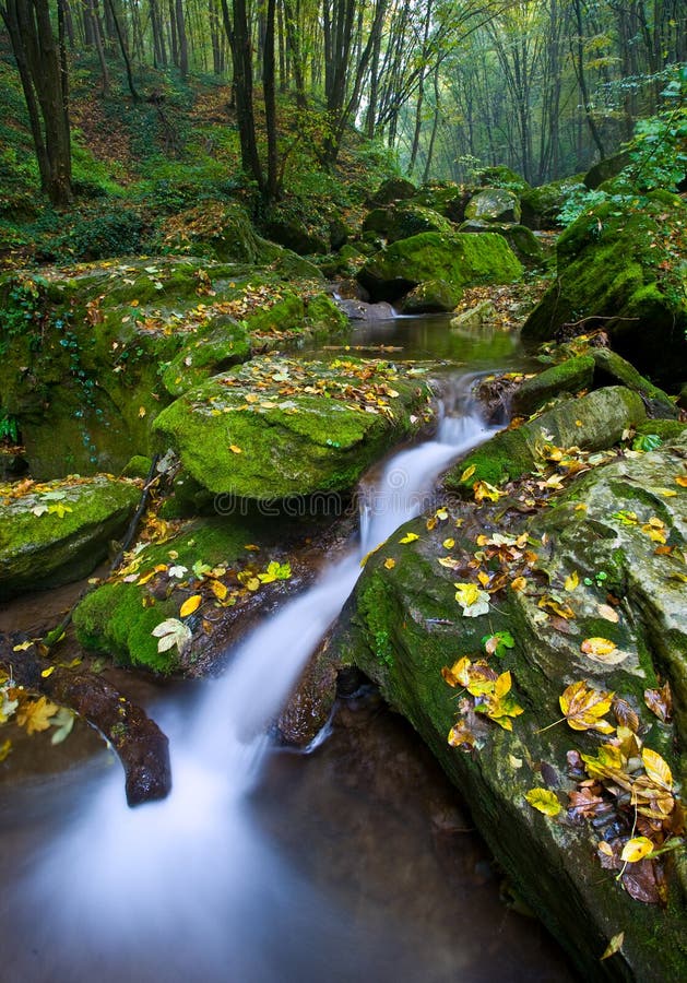 Forest brook stock image. Image of mountain, outdoors - 19257959