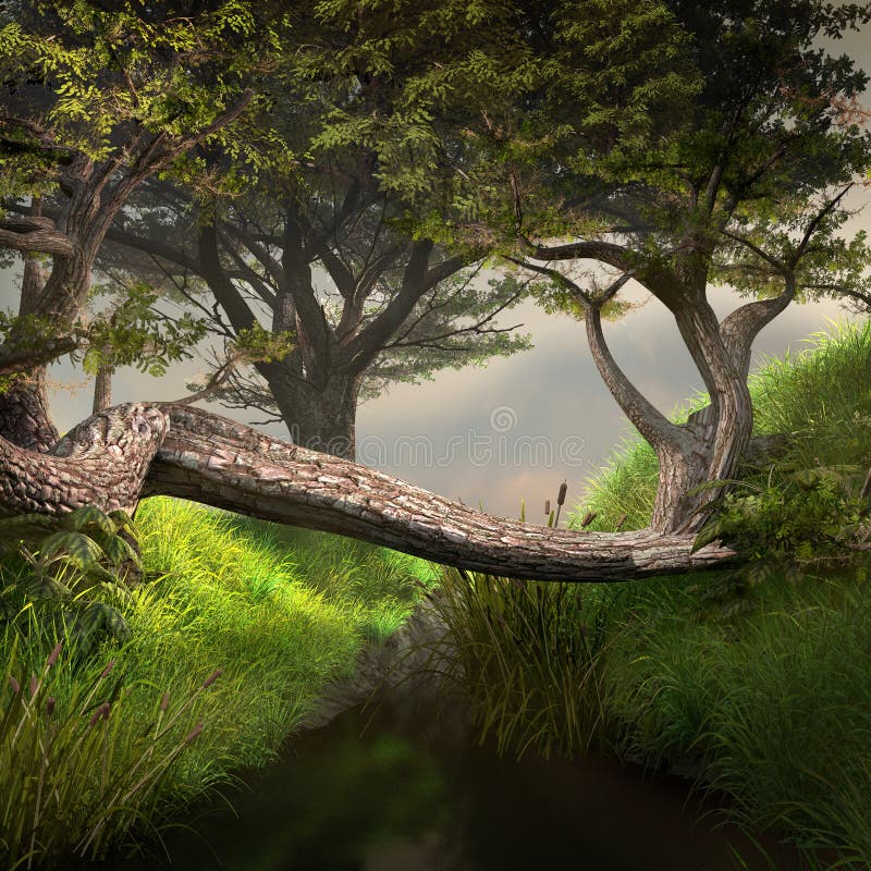 Forest brook stock illustration. Illustration of background - 58732634