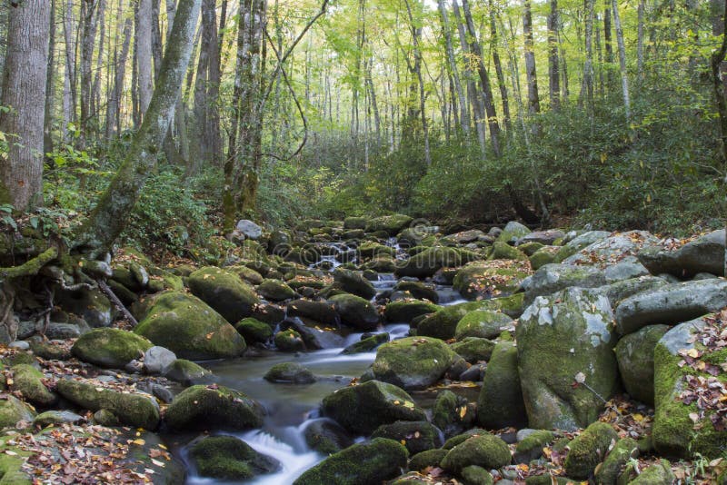Natural Creek Crossing stock photo. Image of environment - 193597392