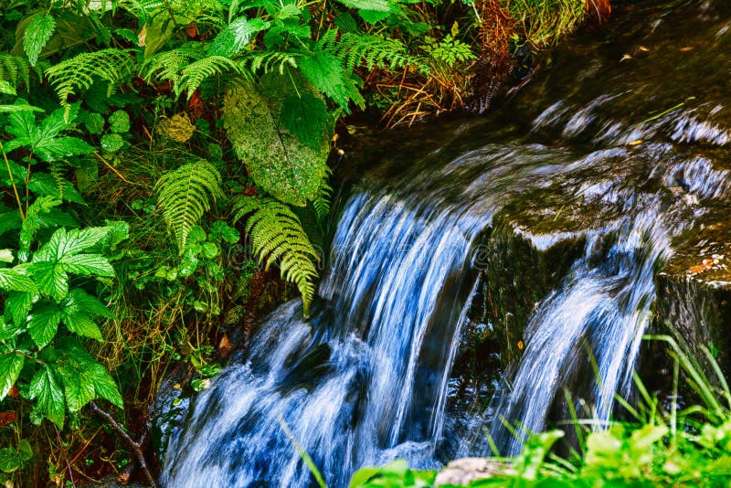 Brook Stream with Waterfall Stock Image - Image of environment ...