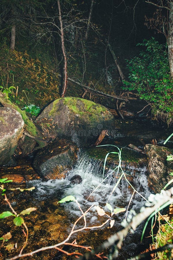 Forest Brook Waterfall stock photo. Image of beach, autumn - 86924124