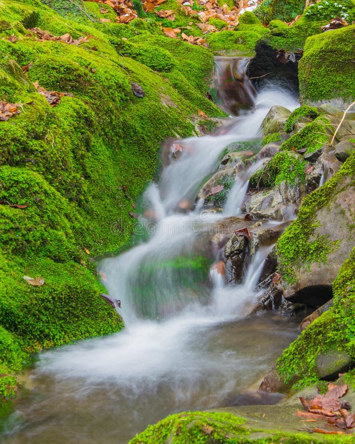 Forest Brook Waterfall between Mossy Rocks Stock Photo - Image of creek ...