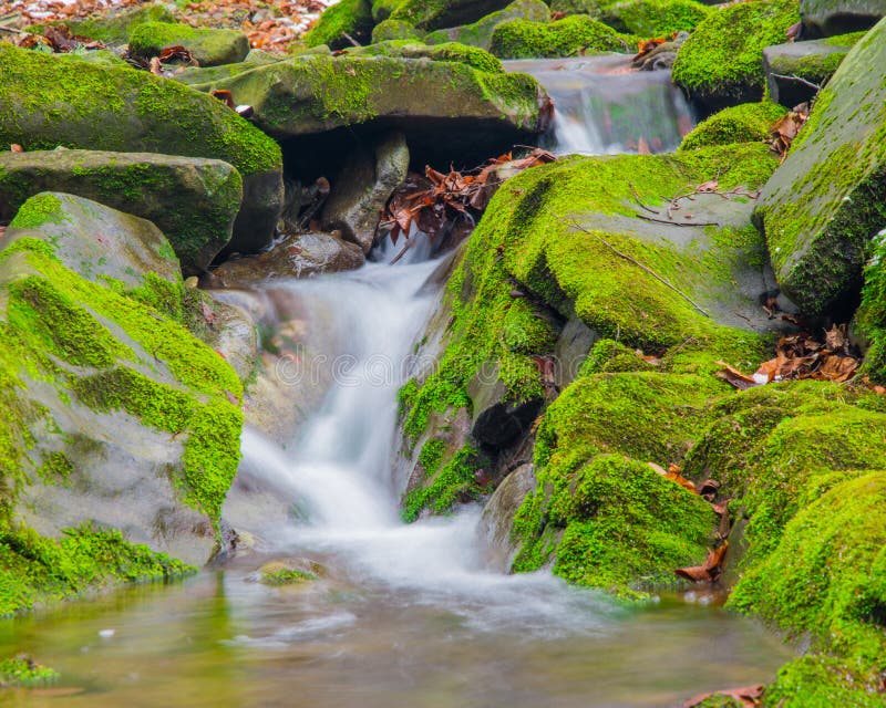 Forest Brook Waterfall between Mossy Rocks Stock Photo - Image of creek ...