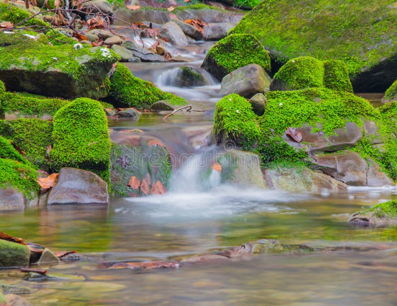 Forest Brook Waterfall between Mossy Rocks Stock Photo - Image of clean ...