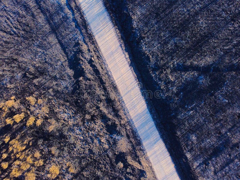 Forest Burned by a Fire and a Dirt Road, Aerial Zenithal View with ...