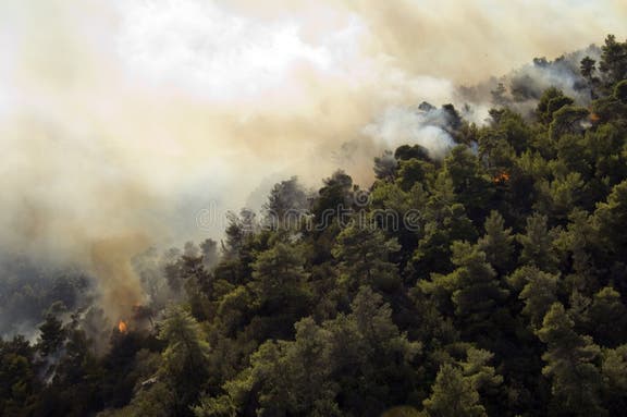 Forest Burning Athens editorial stock image. Image of greek - 10663944