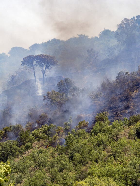 Forest and Bush Fire in Sicily Stock Image - Image of hill, accident ...