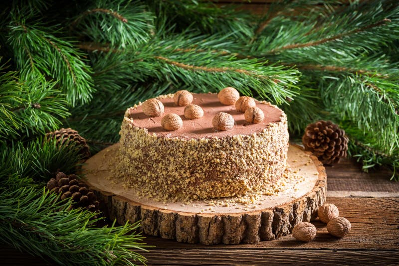 Forest cake stock image. Image of gourmet, cream, cone - 48203547