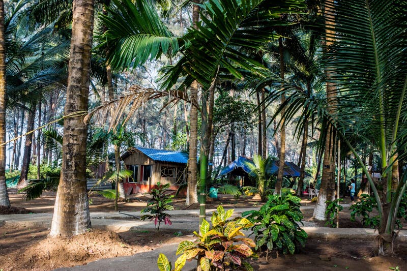 Forest Camp Cabin and Houses Stock Photo - Image of camping, traveling ...