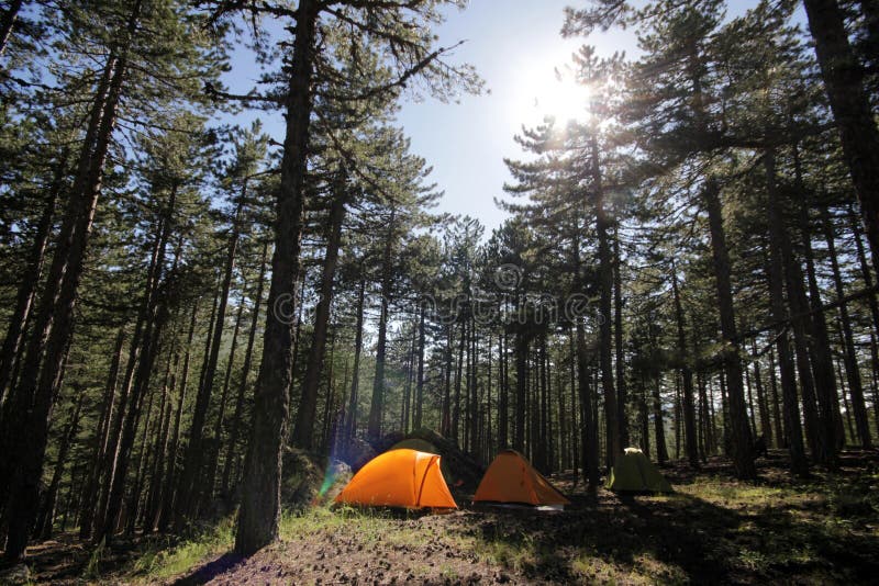 Forest camp stock photo. Image of cloudscape, nonurban - 188208340