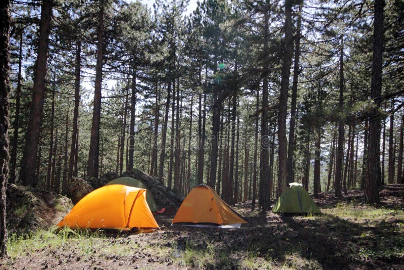 Forest camp stock image. Image of culture, healthy, mountain - 188208373