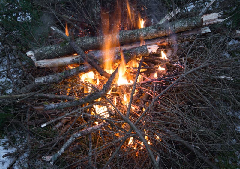 Forest camp fire stock photo. Image of nature, horizontal - 132691722
