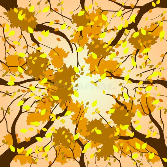 Canopy Leaf Vector Stock Illustrations – 3,083 Canopy Leaf Vector Stock ...