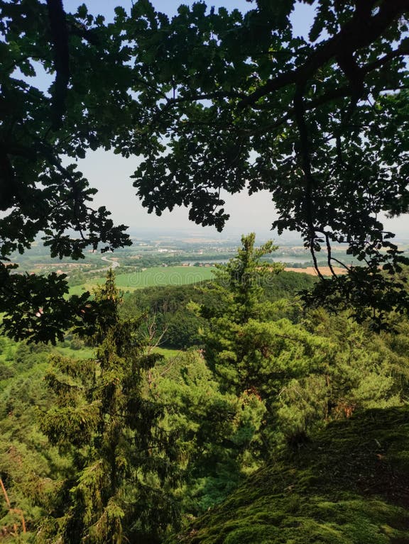 A Forest Canopy Frames a View of Green Fields and Distant Trees on a ...