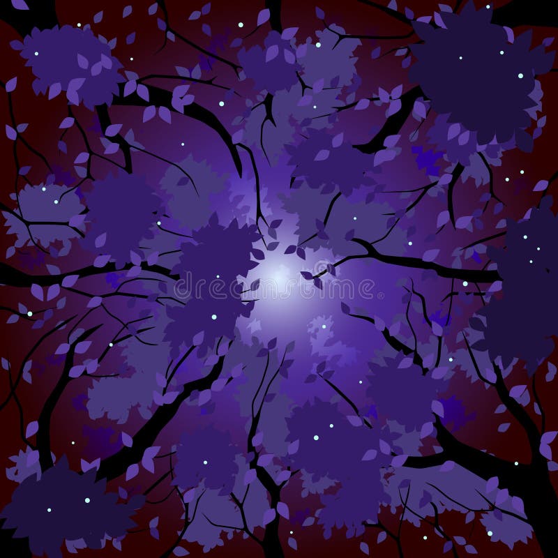 Lit forest canopy at night stock vector. Illustration of backlit - 16520088