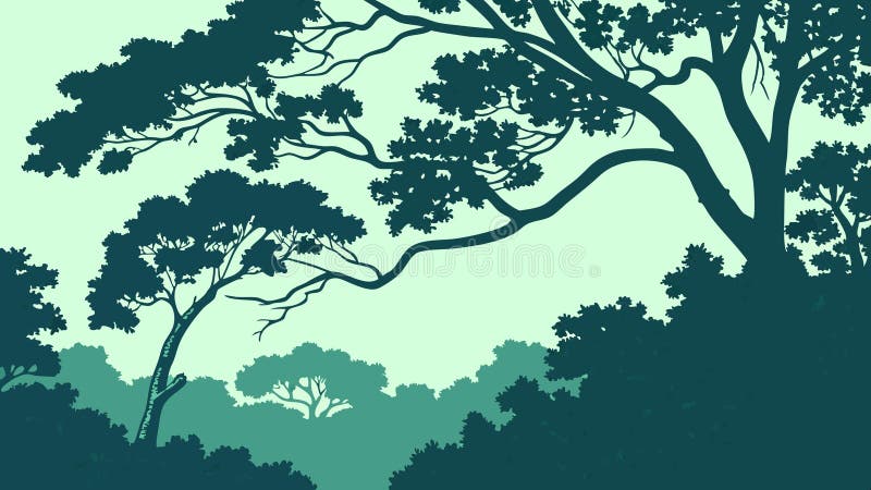 Forest Canopy View from Below, Tall Trees, Green Foliage, Nature S ...