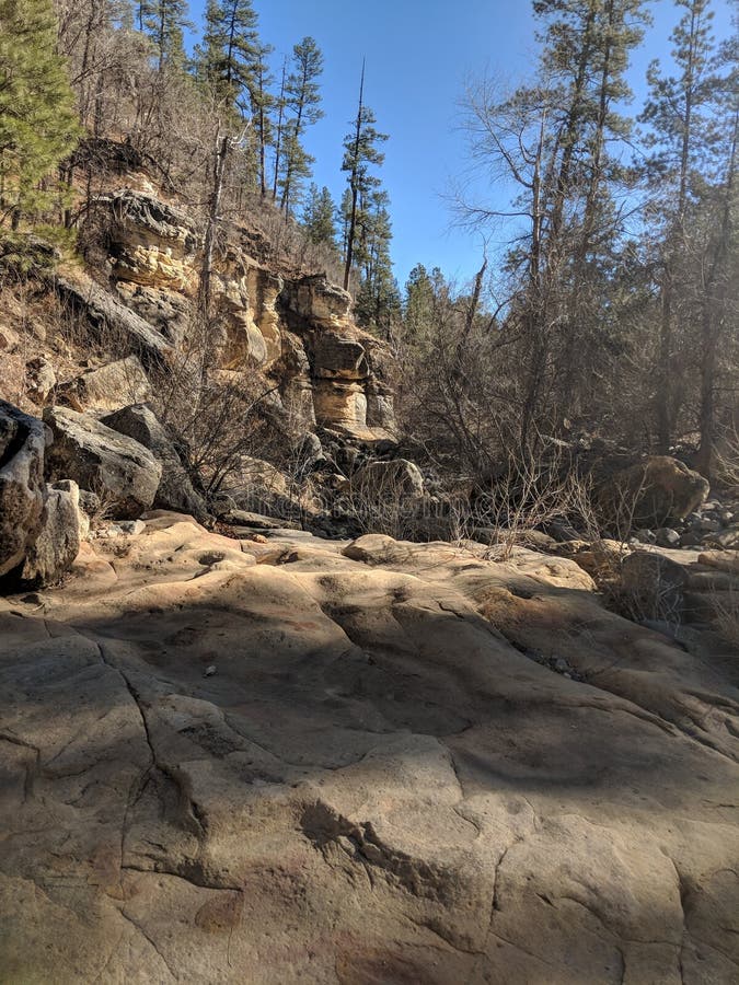 Forest canyon stock photo. Image of forest, canyon, trees - 127812792
