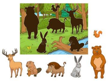 Forest Cartoon Animals with Shadows Vector Stock Vector - Illustration ...