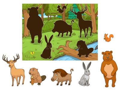Forest Cartoon Animals with Shadows Vector Stock Vector - Illustration ...