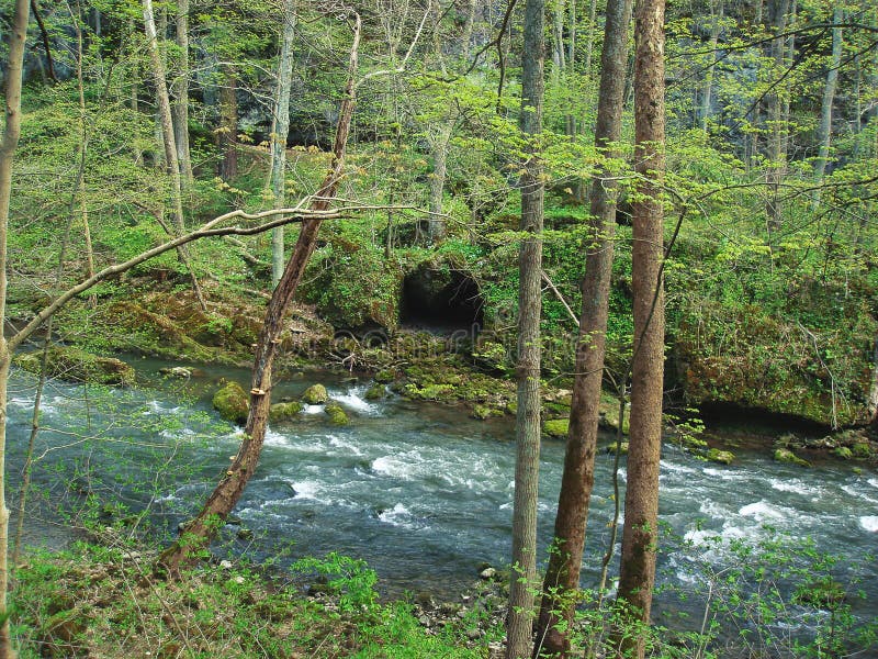 Forest Cave stock photo. Image of greenery, cave, rocks - 703038