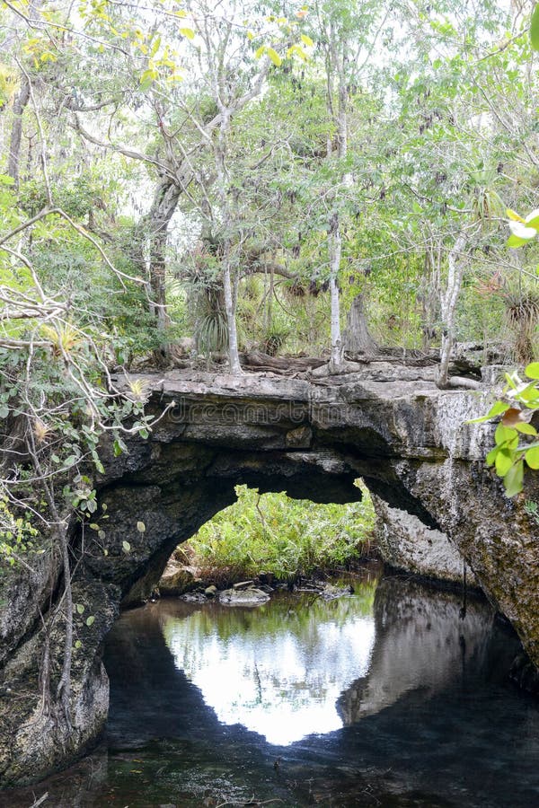 Underground like stock photo. Image of tropical, limestone - 12316118