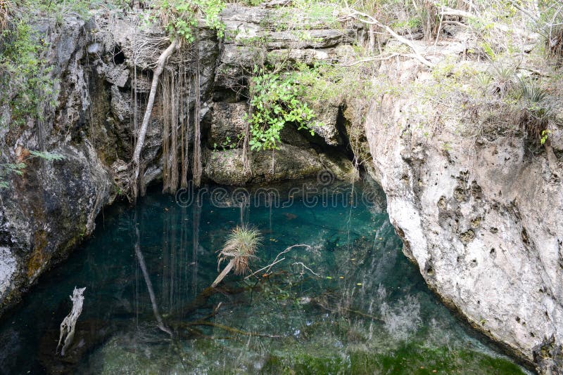 Forest with a Cenote at Giron Stock Image - Image of enigma, nature ...