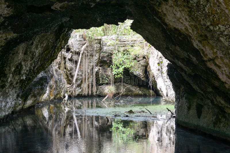 Forest with a Cenote at Giron Stock Photo - Image of tranquil, travel ...