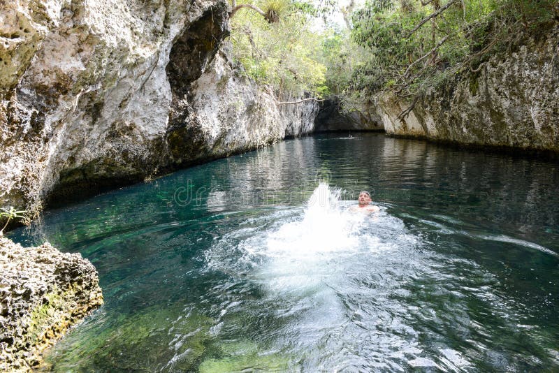 Forest with a Cenote at Giron on Cuba Editorial Stock Image - Image of ...