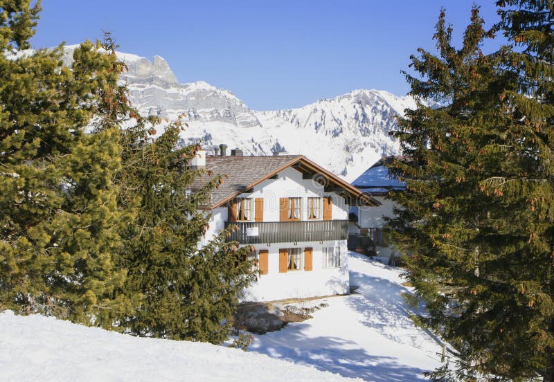 Forest chalet stock photo. Image of estate, quaint, home - 4281984