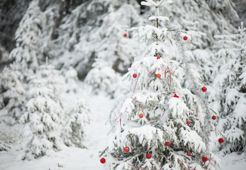 Forest Christmas Tree stock image. Image of lifestyle - 47435831